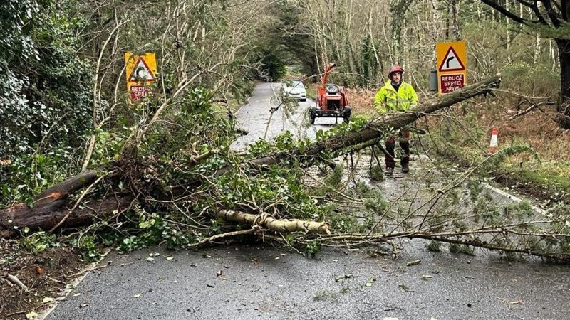 Storm Henk brings 94mph gusts and travel chaos - BBC News