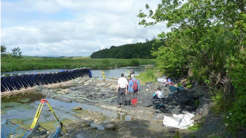 Scottish fossils tell story of first life on land - BBC News