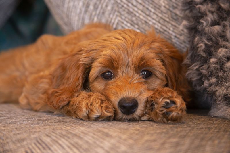 Your pictures of Scotland: 21 - 28 September - BBC News