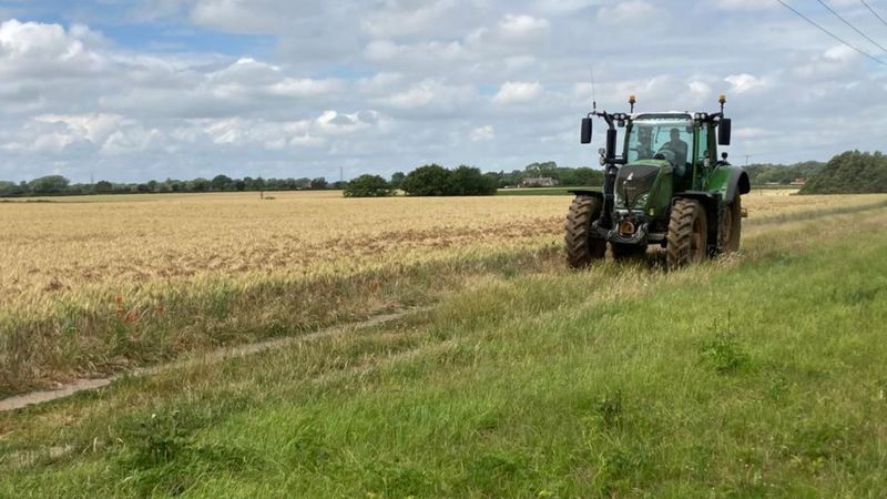 Suffolk farmers warn of cuts to production as costs increase - BBC News
