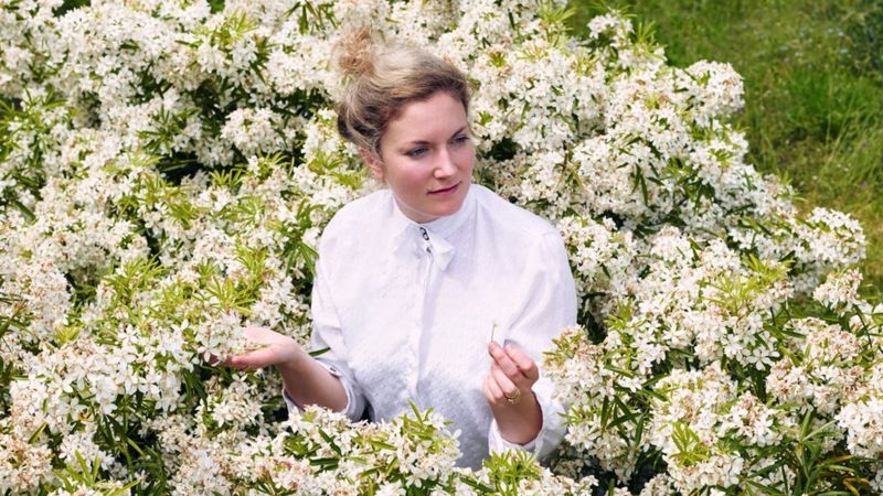 Milton Keynes: Immersive flower display showcases plant 'sounds' - BBC News