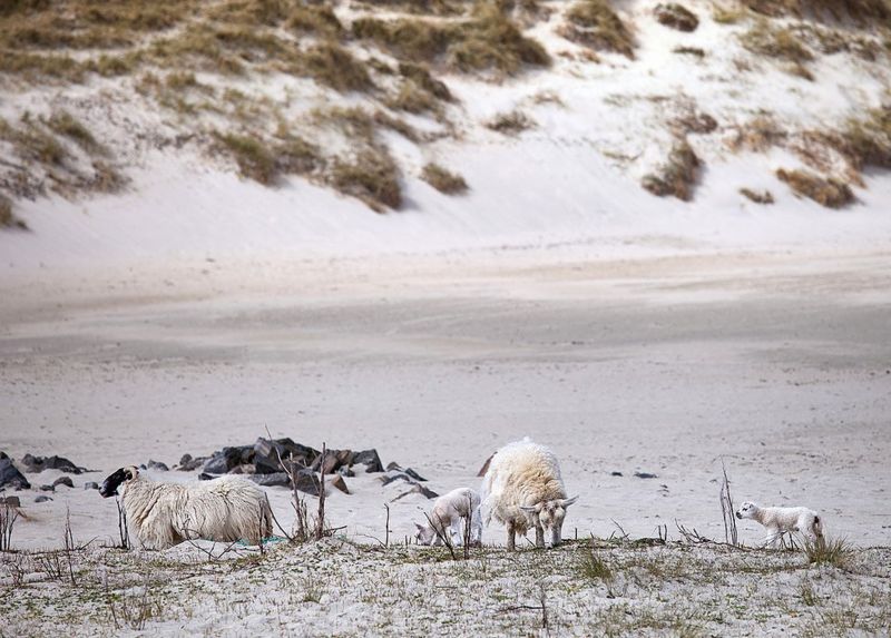 Raising the Barra: Photographer looks beyond isle's blue seas - BBC News