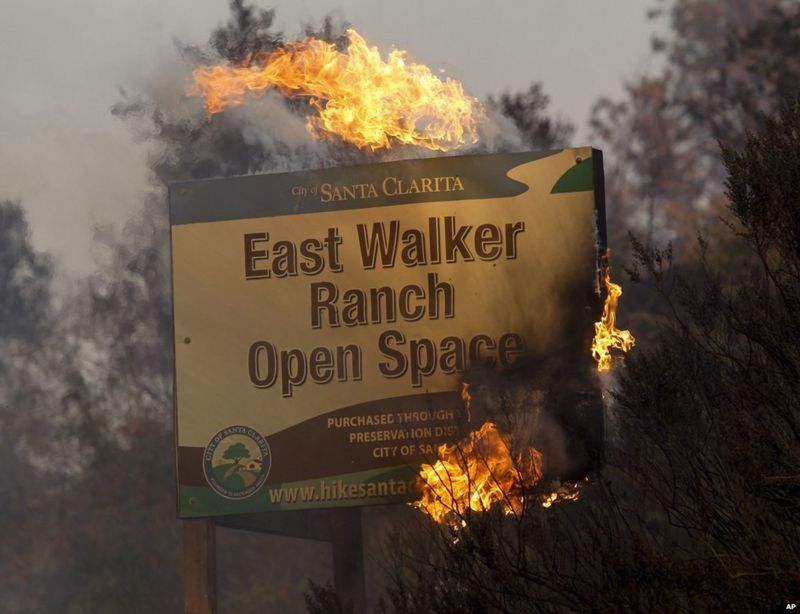 Wildfires: Why they start and how they can be stopped - BBC News
