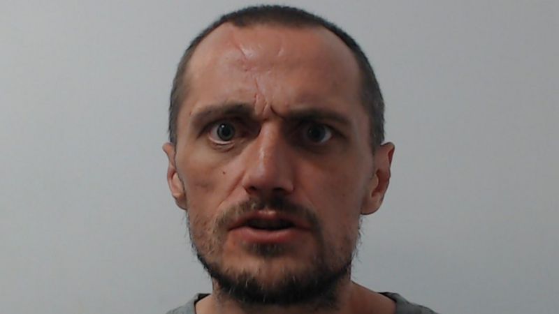 Labradoodle thief guilty of Donald Patience murder - BBC News