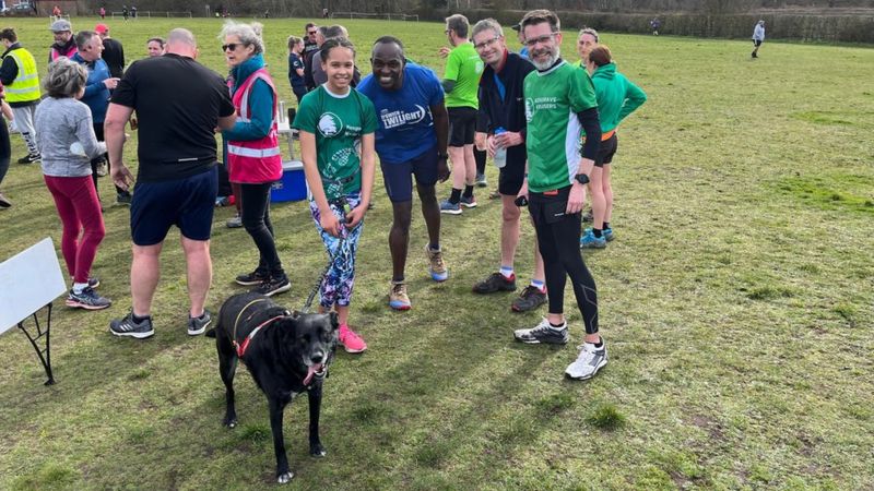 Parkrun: Barkrun being set up due to dog harness dispute - BBC News