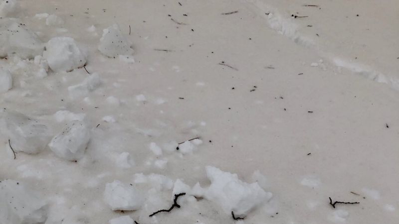 Why is brown snow falling in the US Midwest? - BBC News