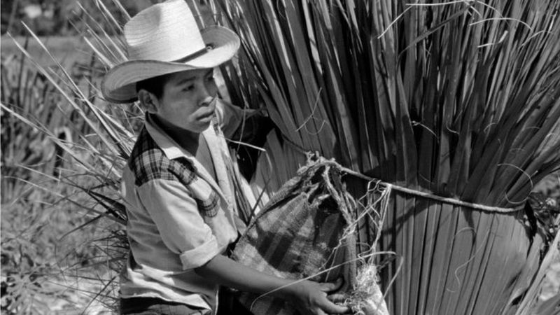 Golpe de Estado en Guatemala de 1954: cómo la CIA derrocó a mi padre ...