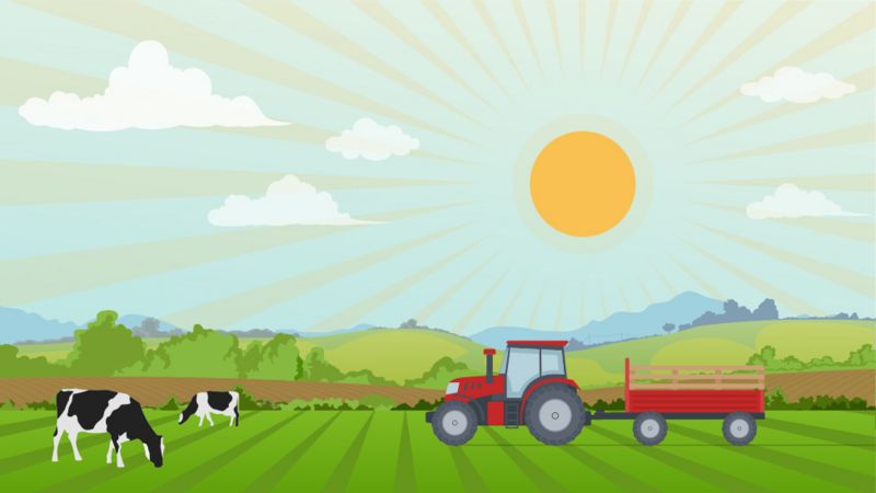 Five ways UK farmers are tackling climate change - BBC News