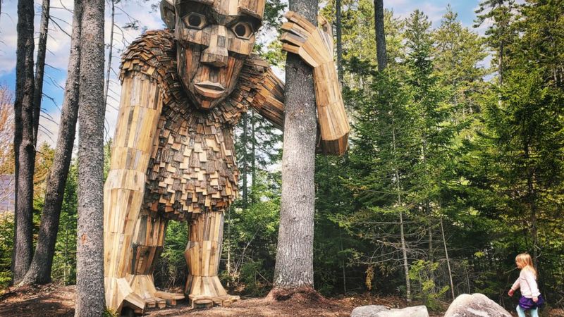 Recycle artist creates giant trolls with environmental messages - BBC ...