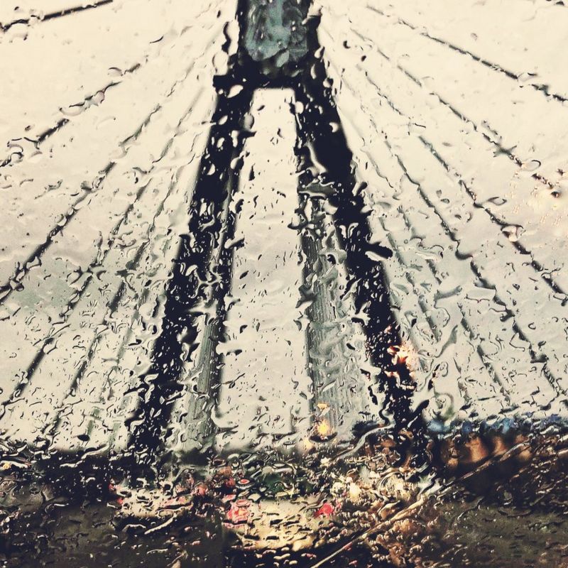 2019'un en iyi okur fotoğrafları - BBC News Türkçe