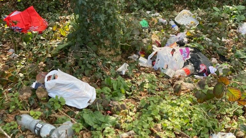Roadside littering in Somerset at its worst, charity says - BBC News
