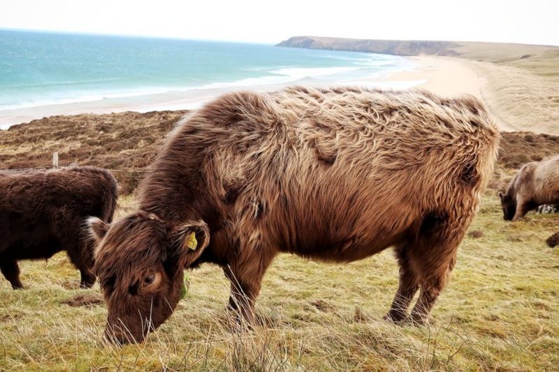 Your pictures of Scotland: 25 August - 1 September - BBC News