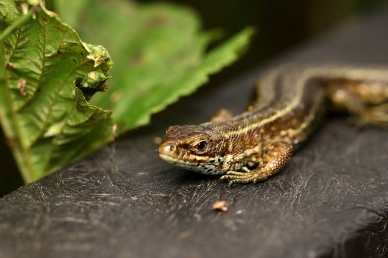 Your pictures of Scotland: 9-16 September - BBC News