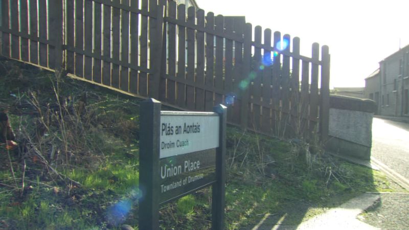 Dungannon: Teenage girl in court over attempted murder - BBC News