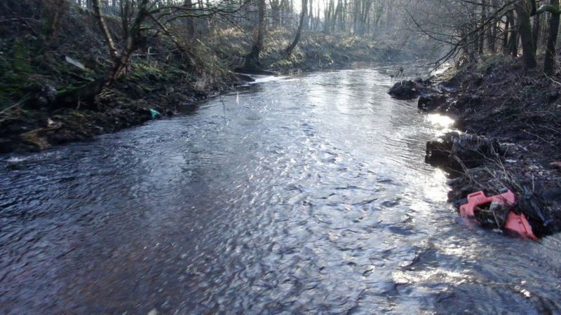 Sewage regularly dumped illegally in England and Wales rivers - BBC News