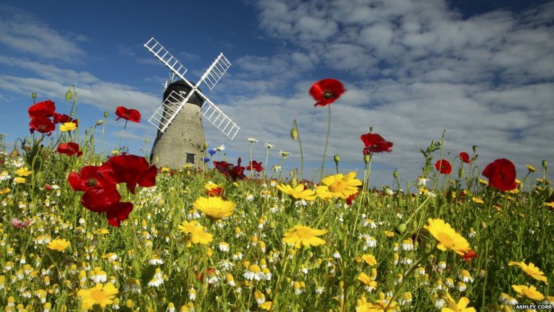 UK weather: June photos - BBC Weather