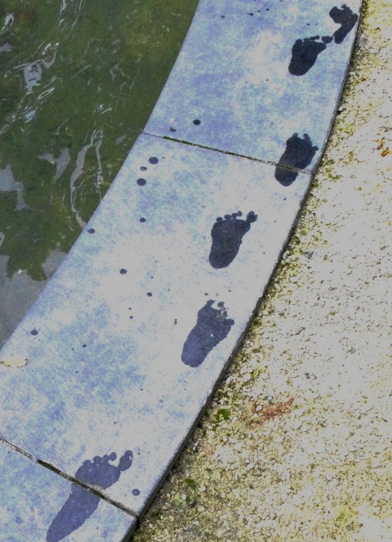 Your pictures: Footprints - BBC News