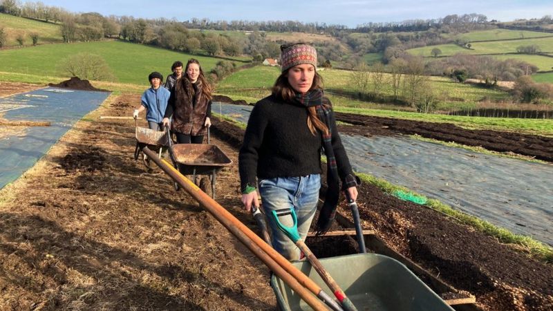 Middle Ground Growers expand Bath operation after crowdfunder - BBC News