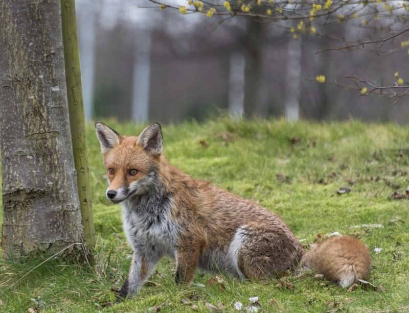 Your pictures of Scotland 1 - 7 February - BBC News
