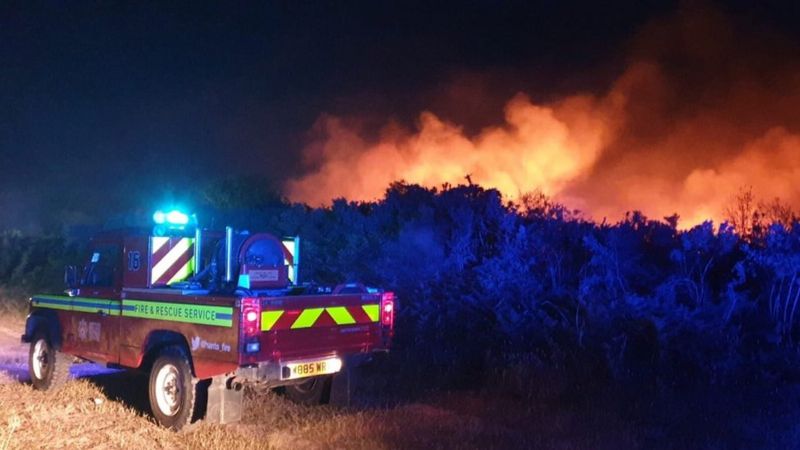 Gosport fire: Heathland destroyed at Browndown Ranges - BBC News