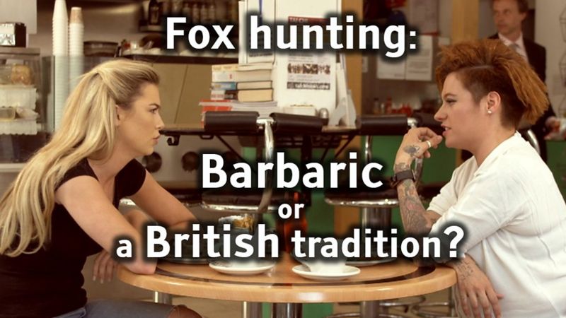 Fox hunting: Review of how Cheshire Police upholds law ordered - BBC News