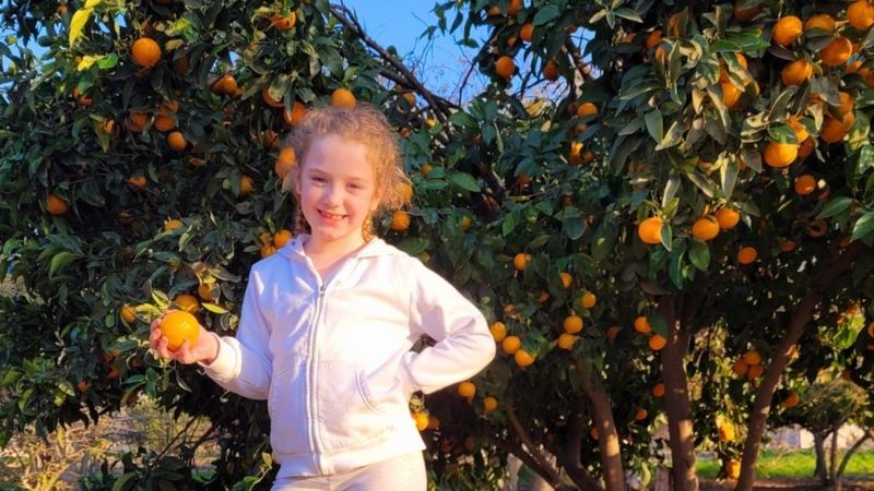 Emily Hand among Gaza hostages freed on Saturday - BBC News