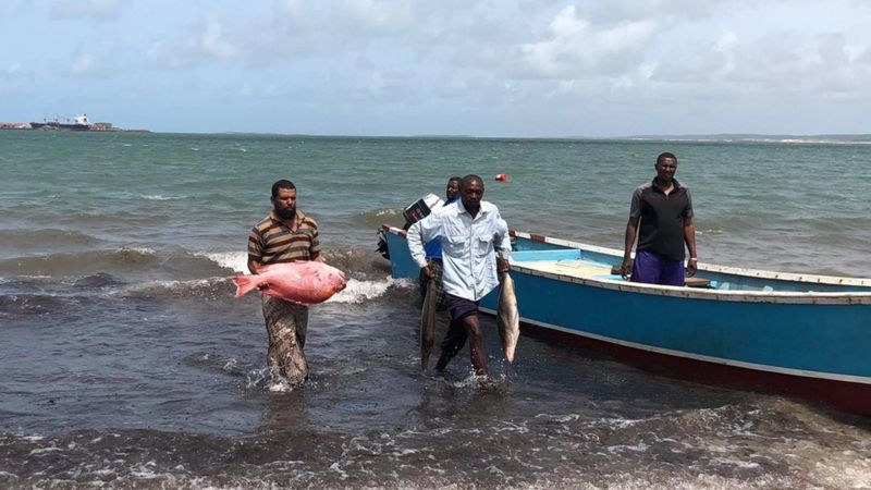 Kismaayo oo kalluun u dhoofisa Kenya - BBC News Somali