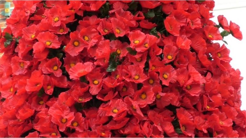 Salisbury poppy 'Christmas tree' sparks fierce online debate - BBC News