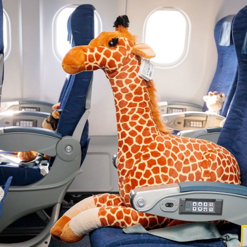 RAF Voyager with toy giraffes raises money for Great Ormond Street ...