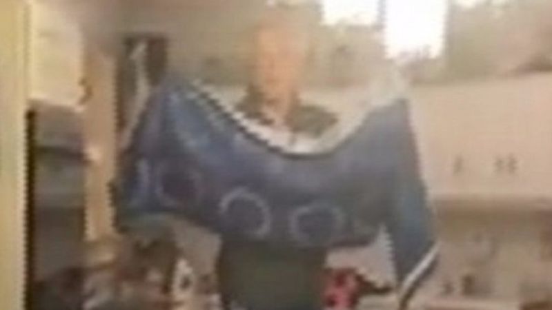 Giant bat: Remains of extinct burrowing bat found in New Zealand - BBC News