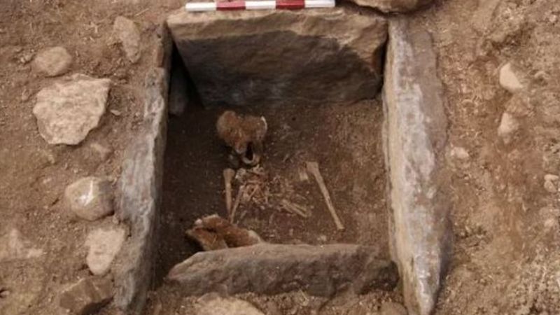 Northumberland Bronze Age skeleton: Whose bones are these? - BBC News