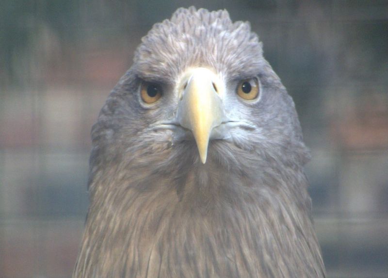 Your pictures of Scotland: 13 - 20 January - BBC News