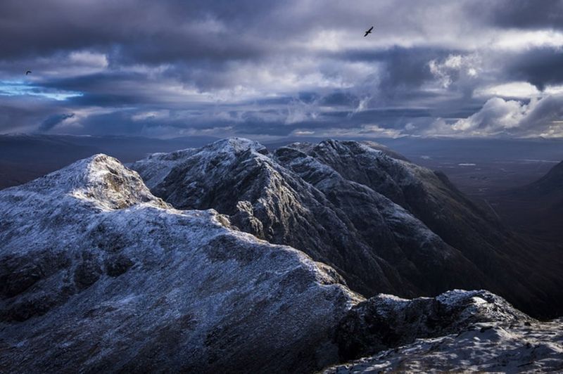 In pictures: Scottish Nature Photography Awards - BBC News