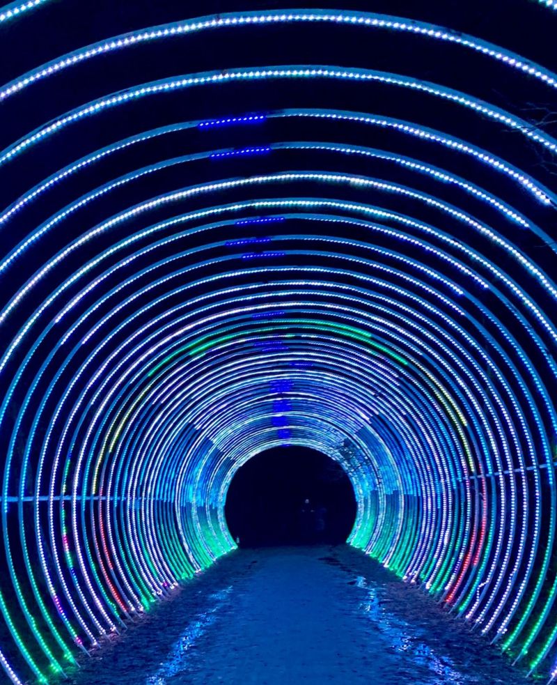 Your pictures on the theme of 'electric' - BBC News