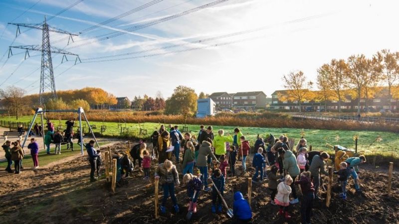 Gardens help towns and cities beat countryside for tree cover - BBC News