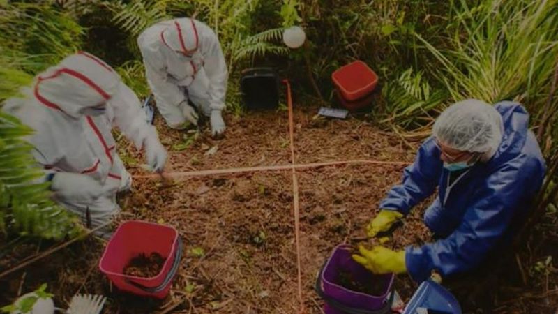 Grace Millane case: 'I went on a date with her killer after her murder ...