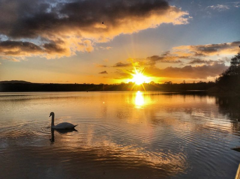 Your pictures of Scotland - BBC News