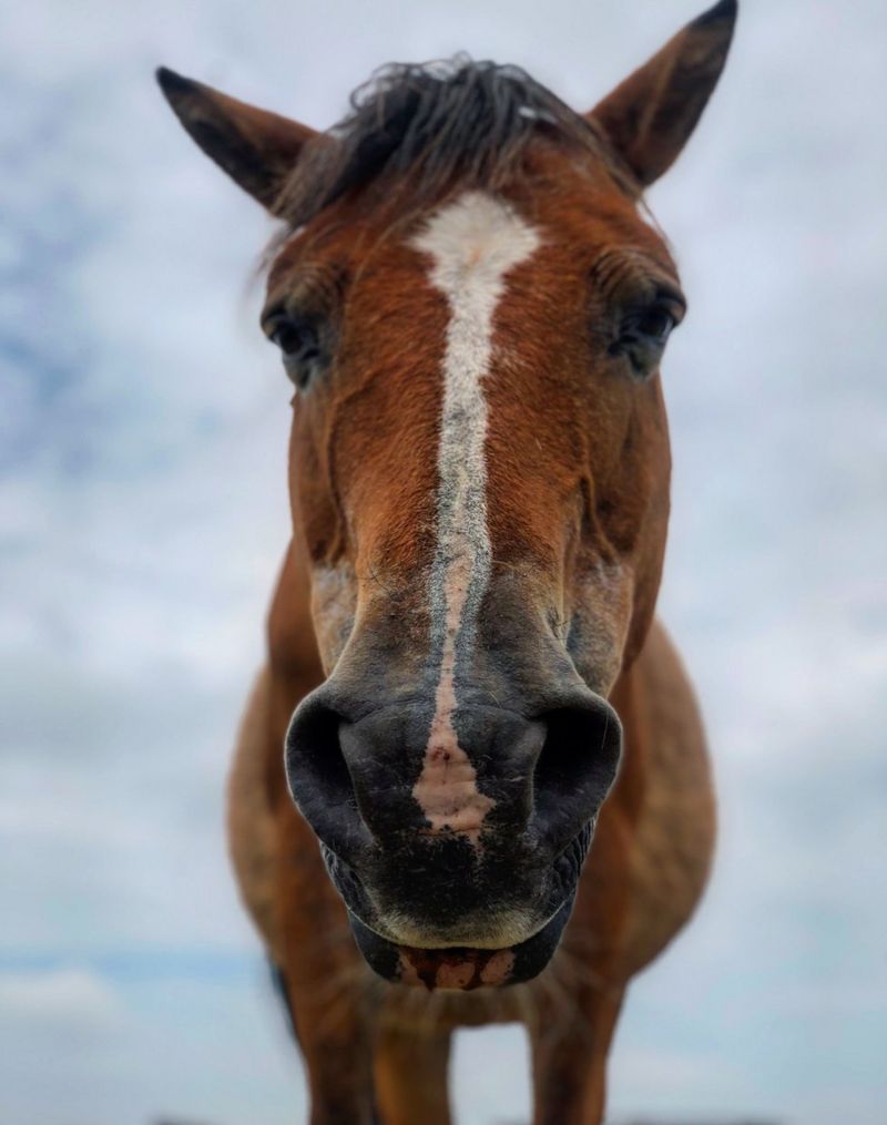 Your pictures on the theme of 'looking down' - BBC News