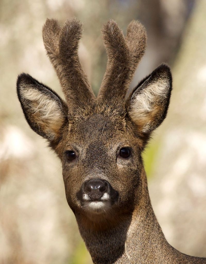 Your pictures of Scotland: 25 February - 4 March - BBC News