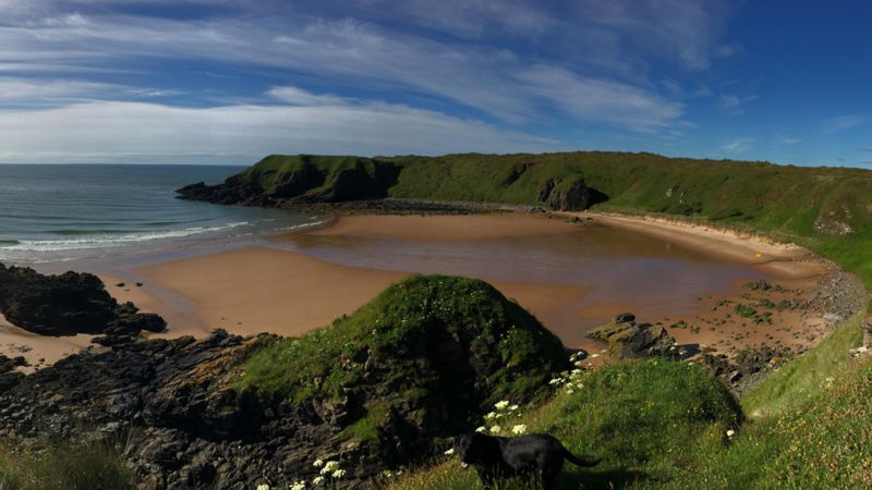 Your pictures of Scotland: 1-8 July - BBC News