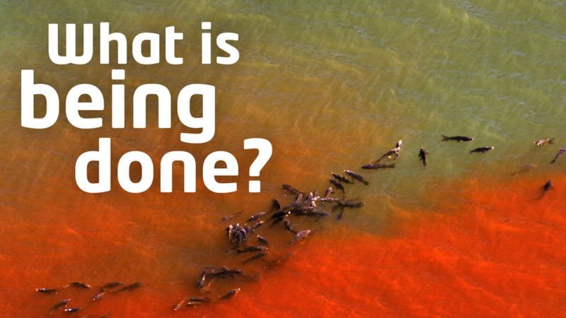 Climate change: What is it and why is everyone talking about it? - BBC ...