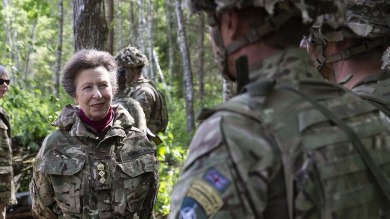 Princess Anne gets military promotion as she celebrates 70th birthday ...