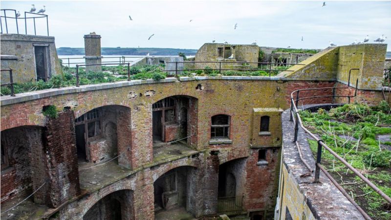 Stack Rock Fort: Victorian island reclaimed by nature - BBC News