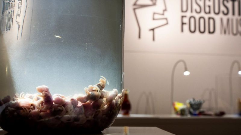 What's disgusting? What's a delicacy? Food museum takes on the ...