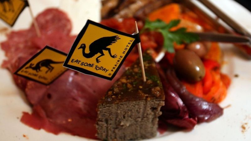 Australians urged to eat kangaroo meat - BBC News
