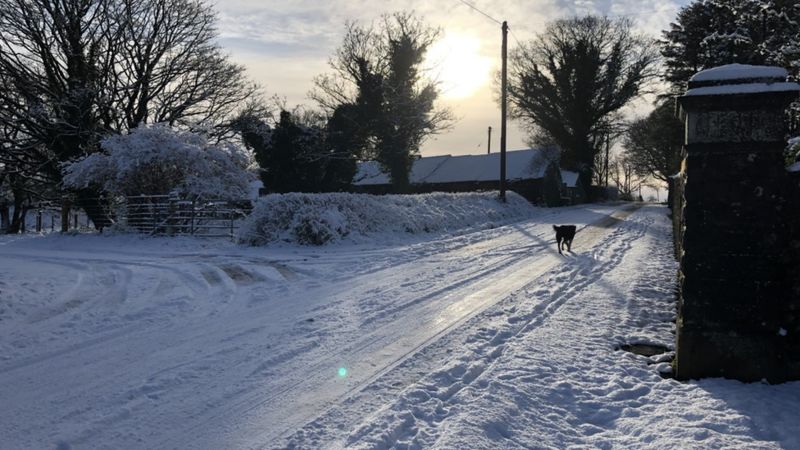 Your pictures of snowy scenes in Northern Ireland - BBC News
