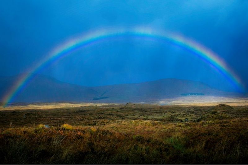 Your pictures of Scotland: 7 - 14 October - BBC News