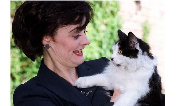 The new PM's first job: Impress the cat - BBC News