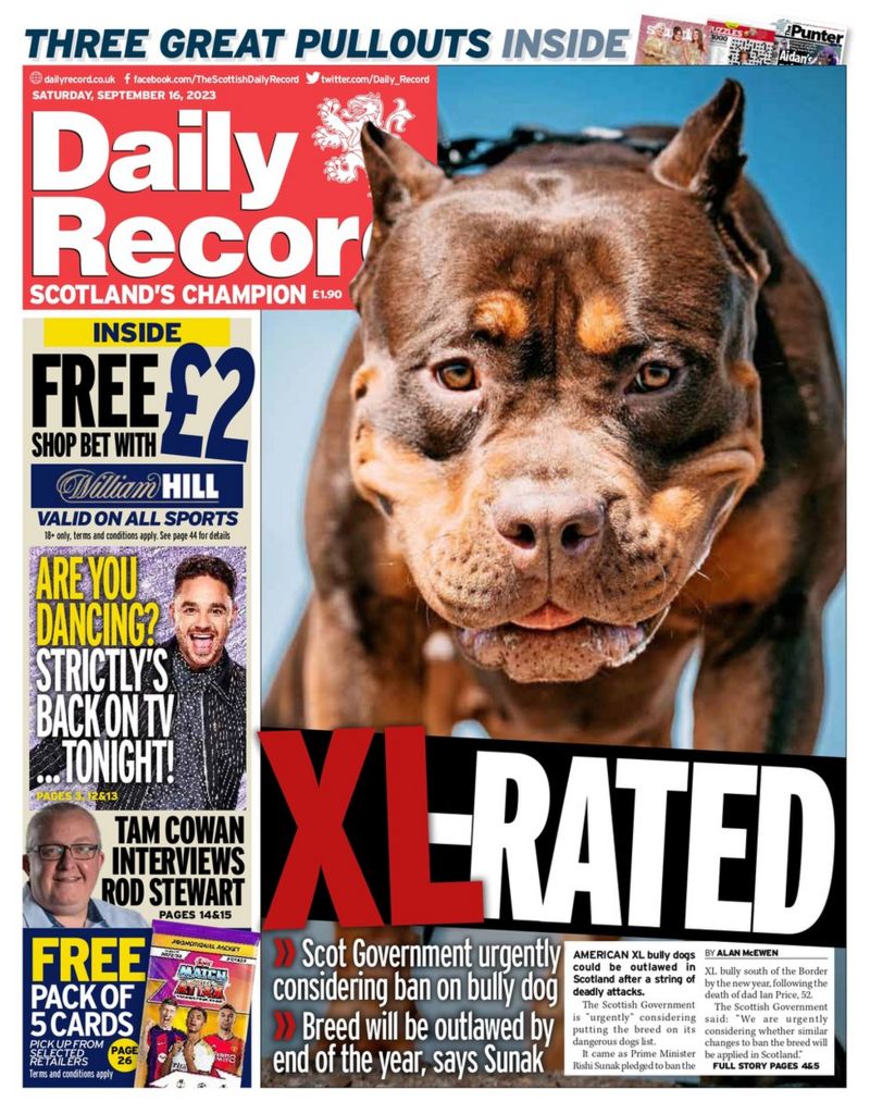 Scotland's papers: XL bully dog ban and Murray's tears for grandmother ...