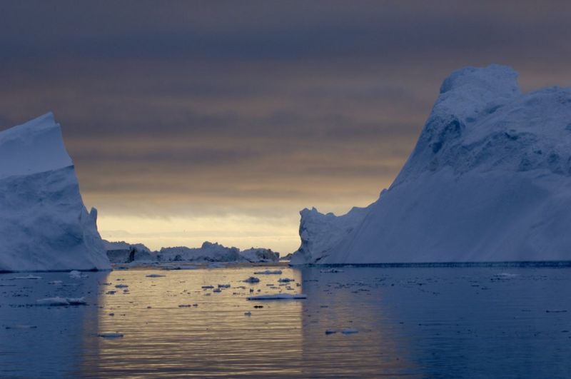 Sergey Ananov: Two days on ice with three polar bears - BBC News